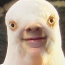 Yourina (@you.rina) - Urlebird