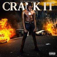 DJ smallz 732 & Terry Reloaded - Crank It | TikTok
